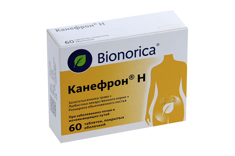 Канефрон Н, 60 шт, таблетки покрытые оболочкой – купить по цене 555 руб ...